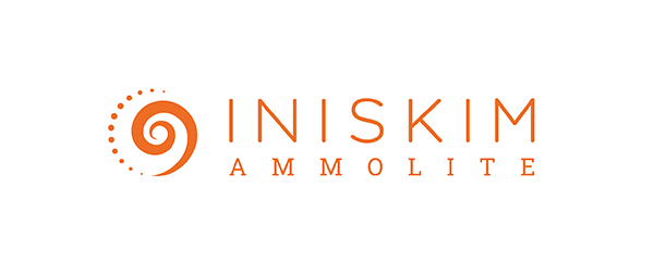 Ammolite: Unveiling the Unique Beauty of a Rare Gemstone - American Gem ...